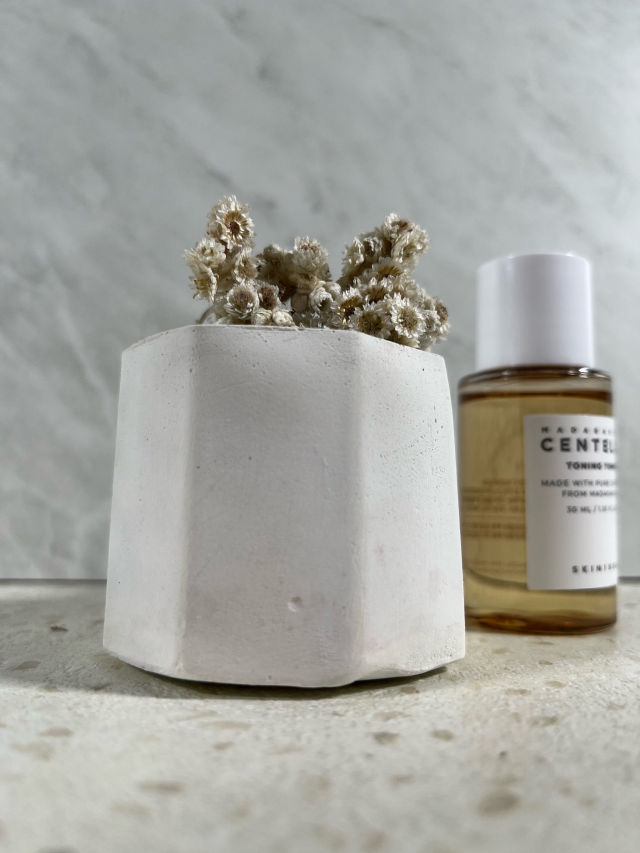 Madagascar Centella Toning Toner | Skin Care | SKIN1004